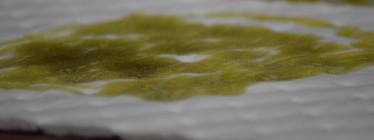 DNT Absorption - DNT non woven fabrics - No Tejido